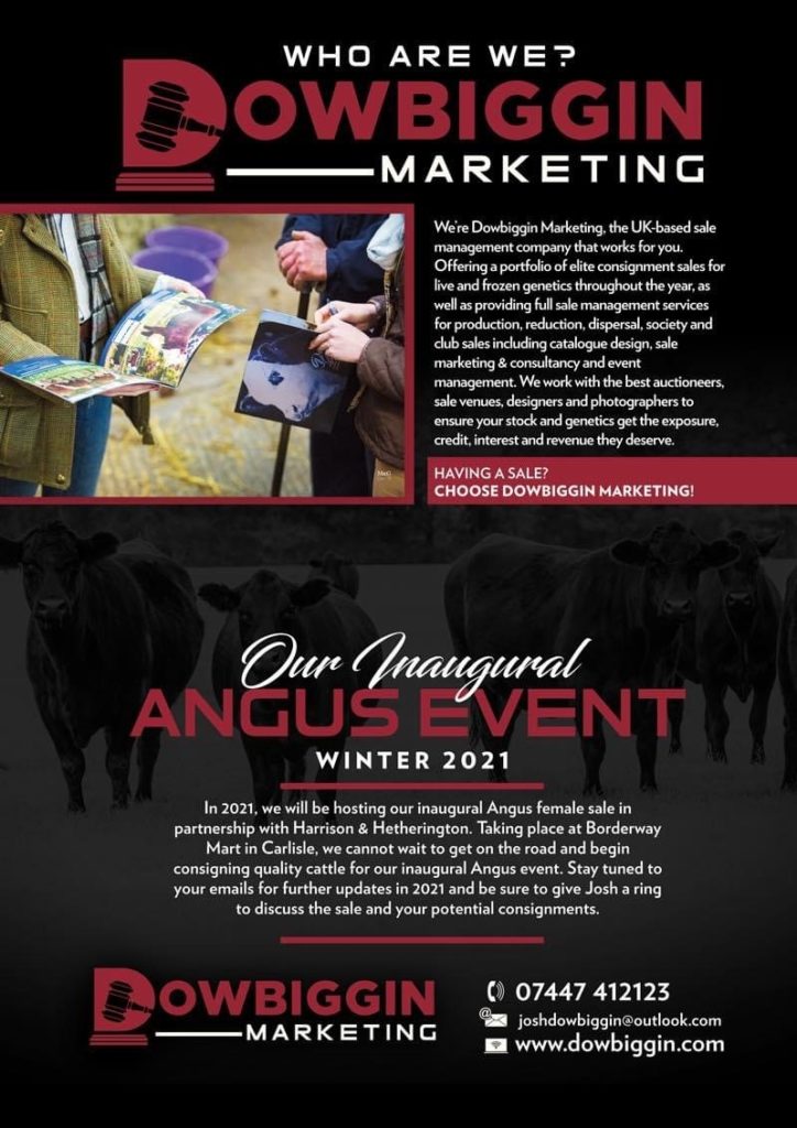Dowbiggin Aberdeen-Angus Sale: It’s time to talk ANGUS! | Aberdeen ...