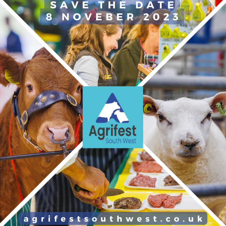 AGRIFEST 2023 | Aberdeen-Angus Cattle Society