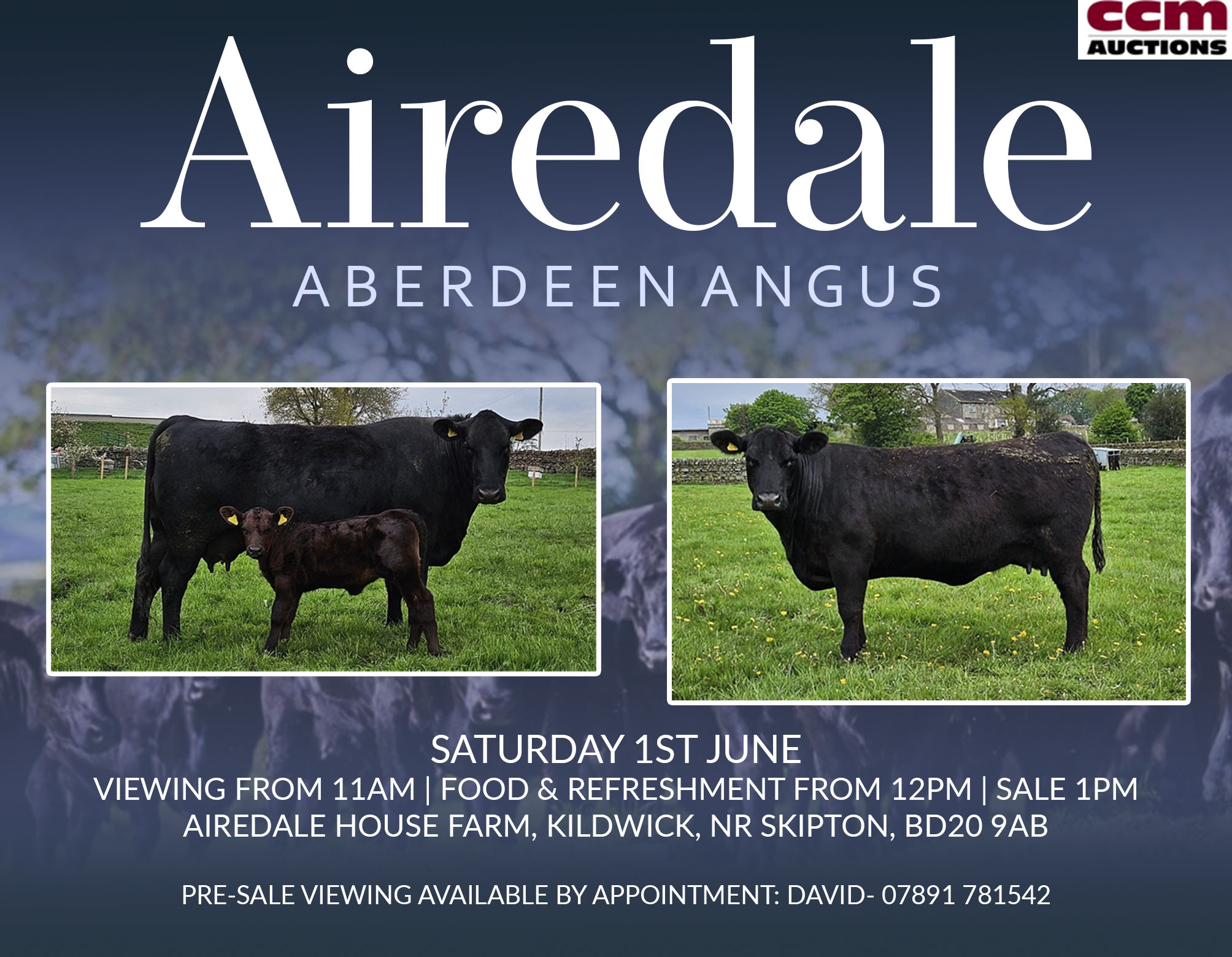 Quality on offer at CCM Airdale Angus Herd on-farm production sale ...
