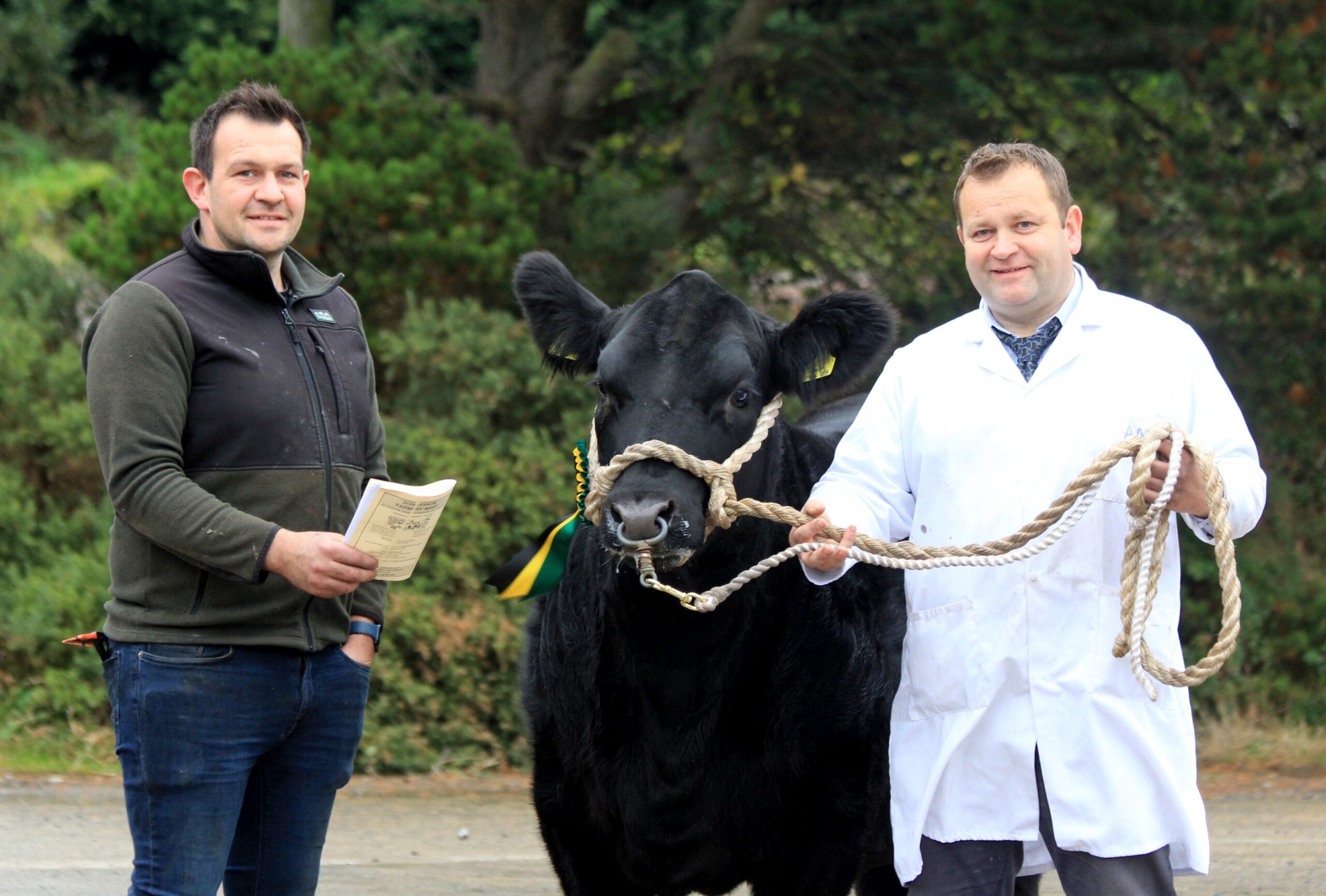 Dungannon Venue for Aberdeen-Angus Calf Show - Aberdeen-Angus Cattle ...