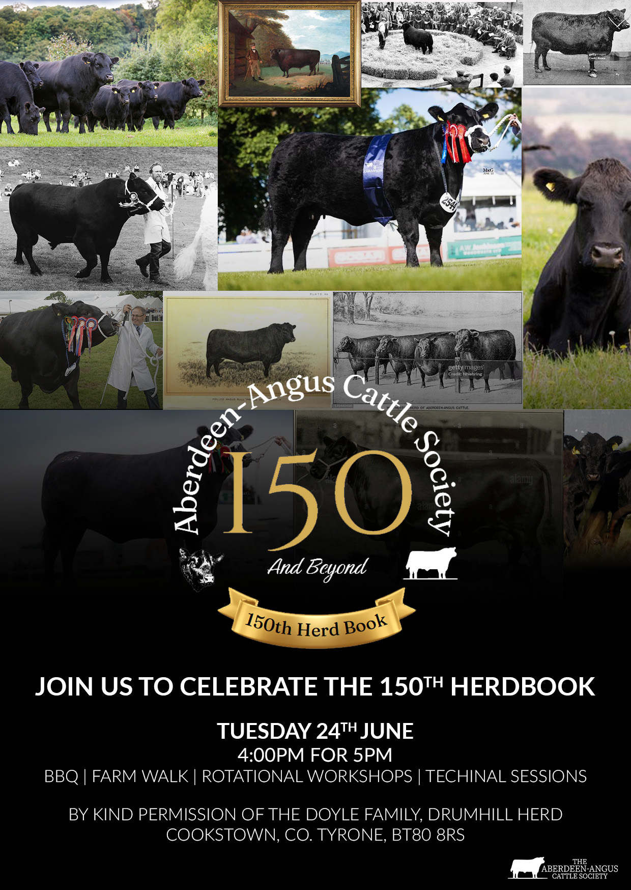 Latest News and Features - Aberdeen-Angus Cattle Society