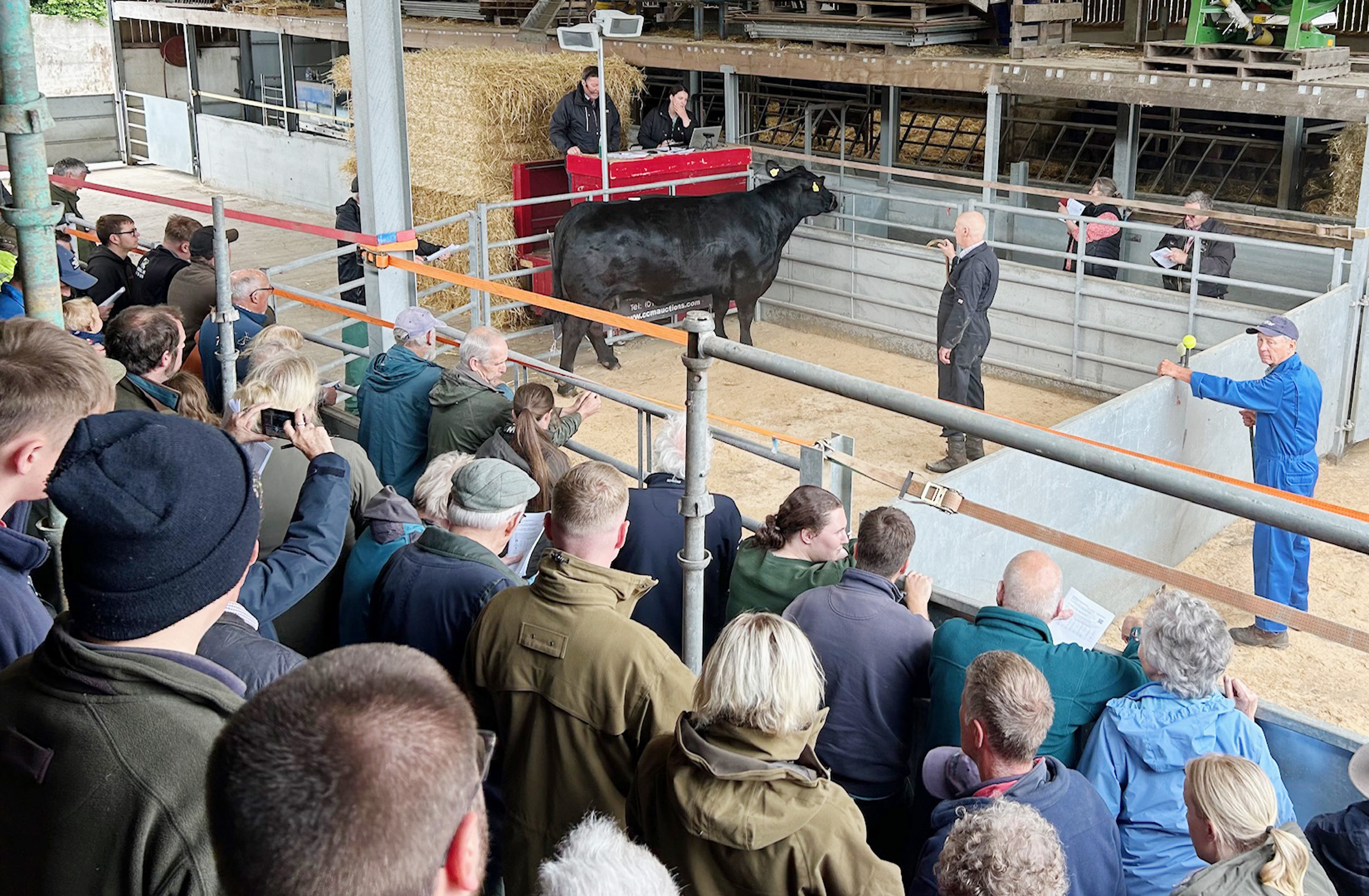 Airedale Angus on-farm production sale produces five-figure top ...