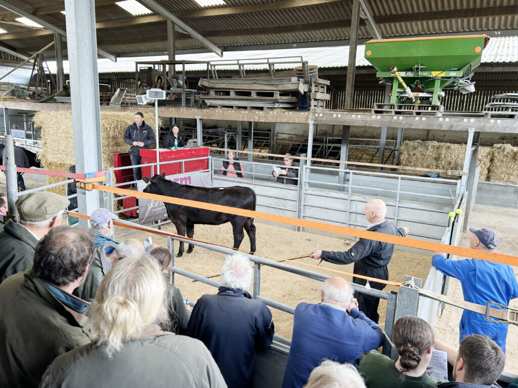 Airedale Angus on-farm production sale produces five-figure top ...