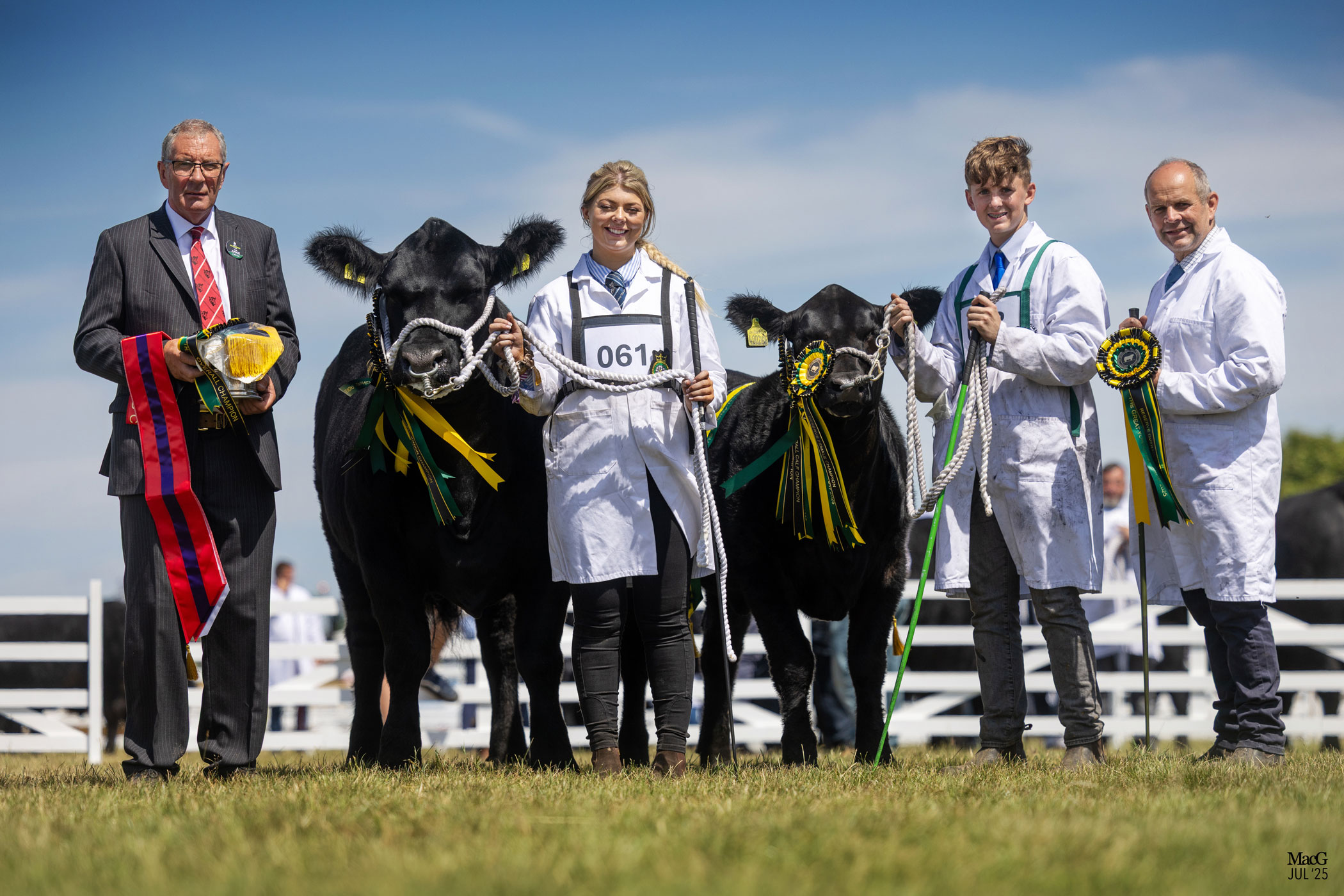 The Aberdeen-Angus Summer National at the Great Yorkshire Show 2025 ...