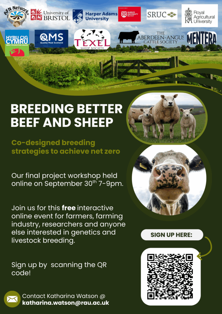 Breeding Better Beef & Sheep – strategies for net zero - Aberdeen-Angus ...