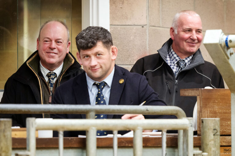 Logie Aberdeen-Angus Dispersal Tops at 17,000gns at Stirling | Aberdeen ...