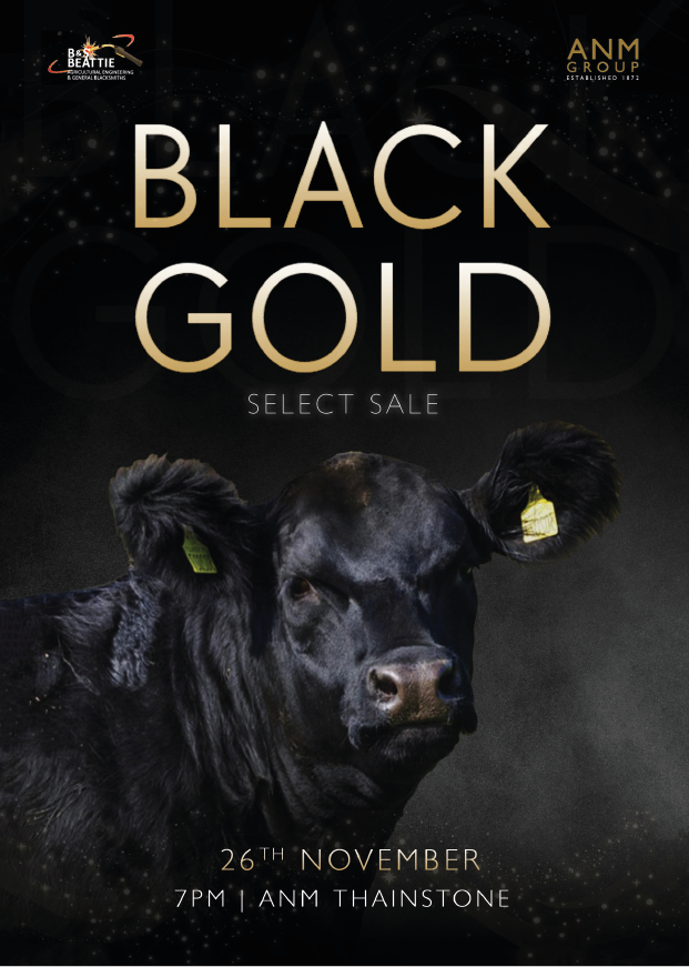 Black Gold Sale Catalogue - Aberdeen-Angus Cattle Society