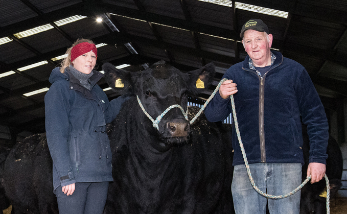 Pedigree Aberdeen-Angus, Black Baldy cattle and arable rotation thrive ...